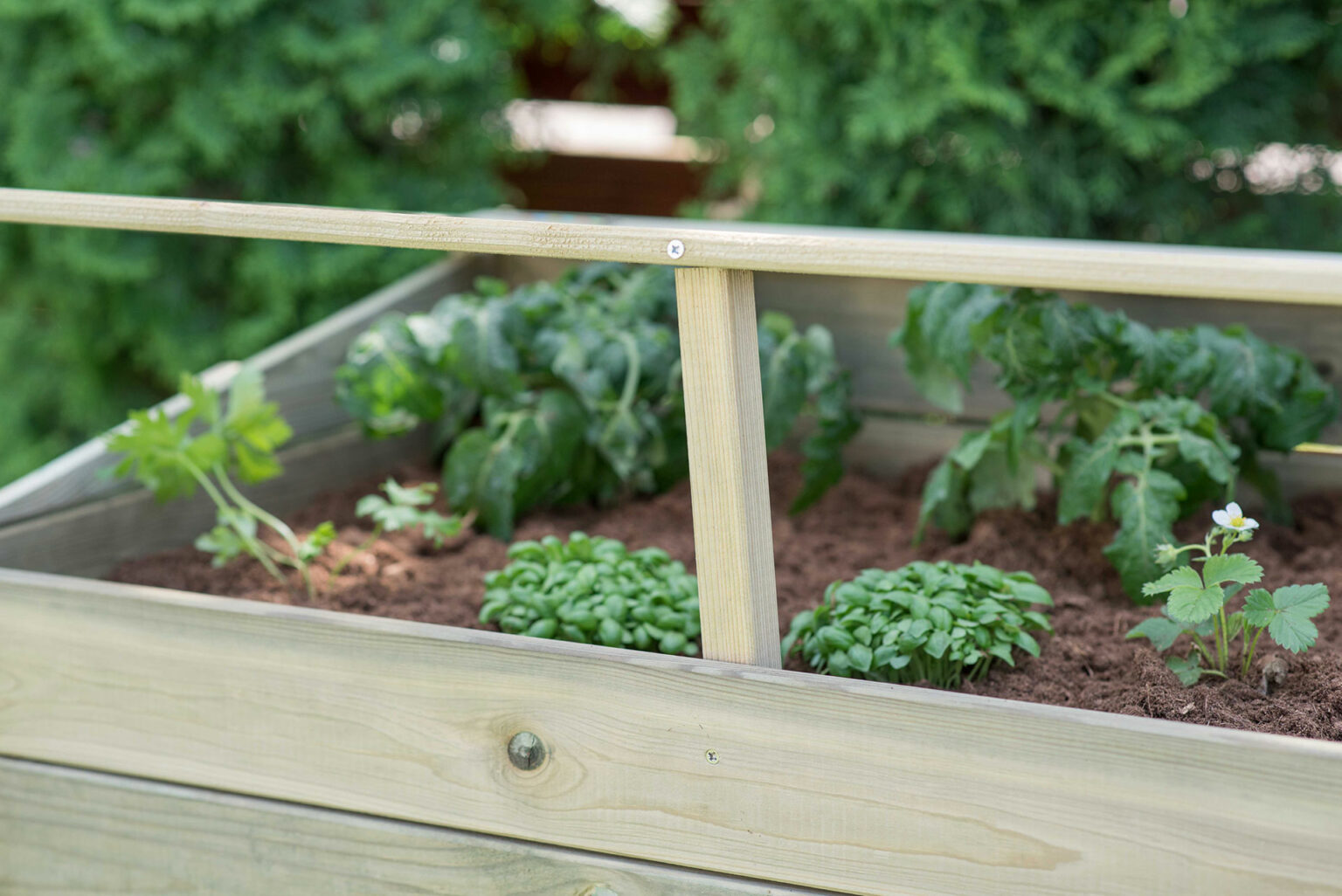 Hochbeet mit Deckel - Gartenzauber GmbH